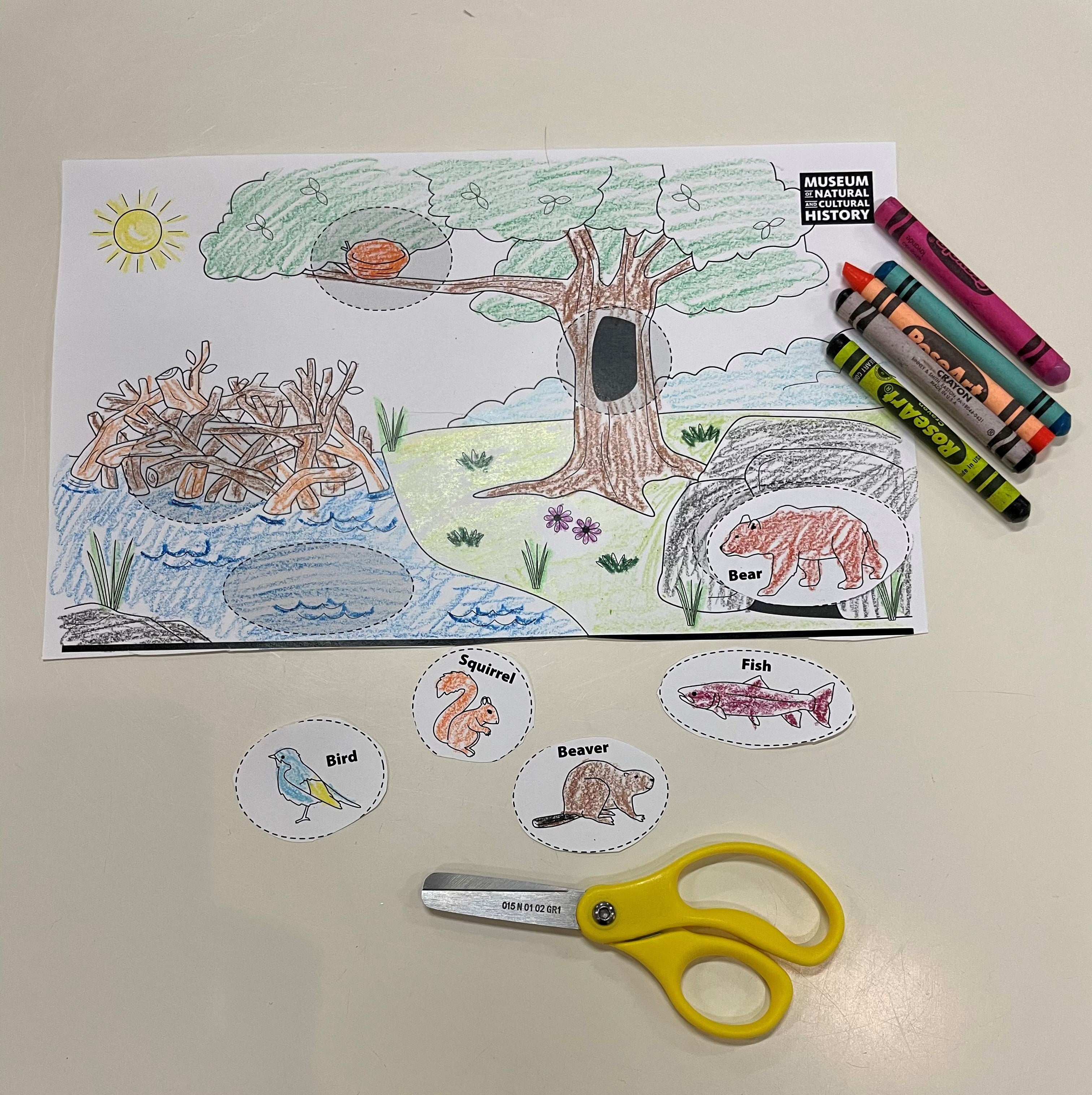 Little Wonders: Animal Homes