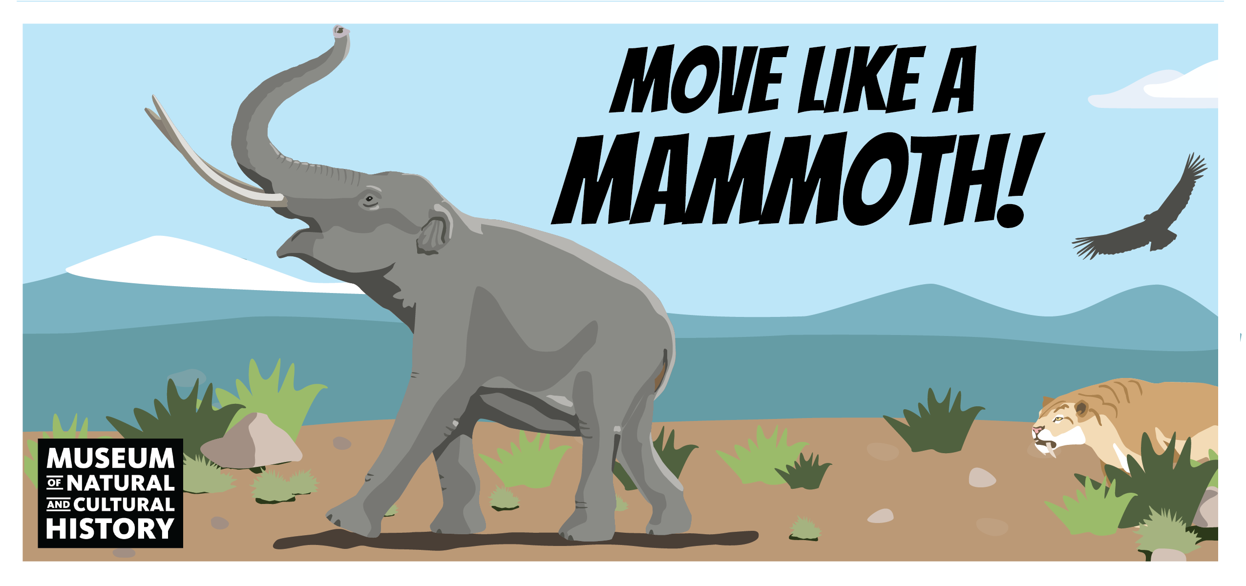 Library and Community Outreach | Museum of Natural and Cultural History